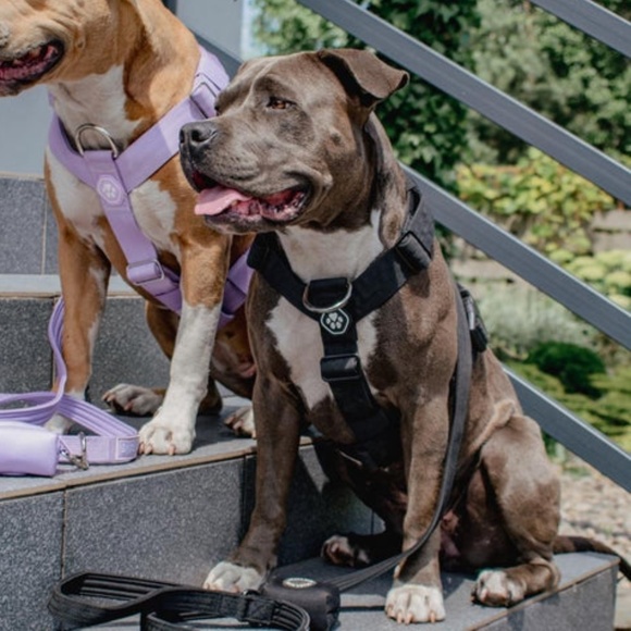 SPARK PAWS | Dog | Spark Paws Comfort Control Nopull Dog Harness | Poshmark